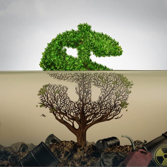 Green washing and What Can We Do?